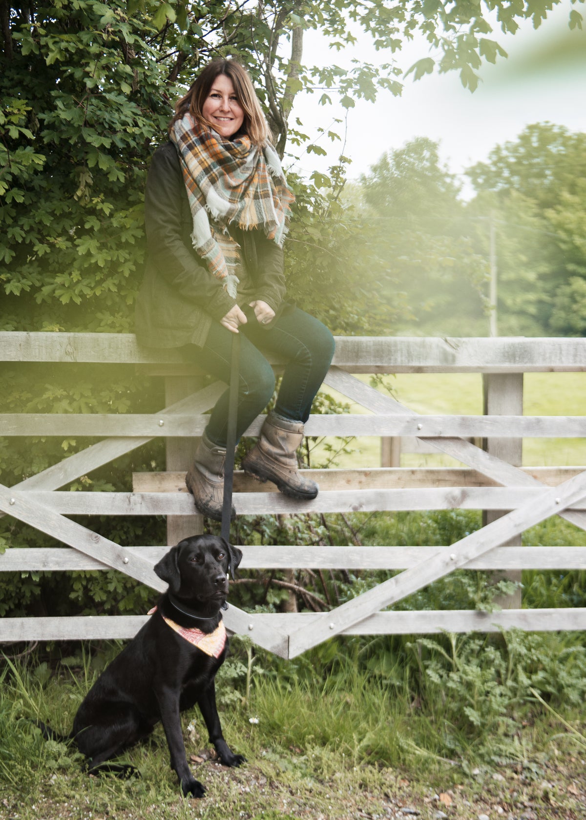 Hello Again – The Dandy Dog Company