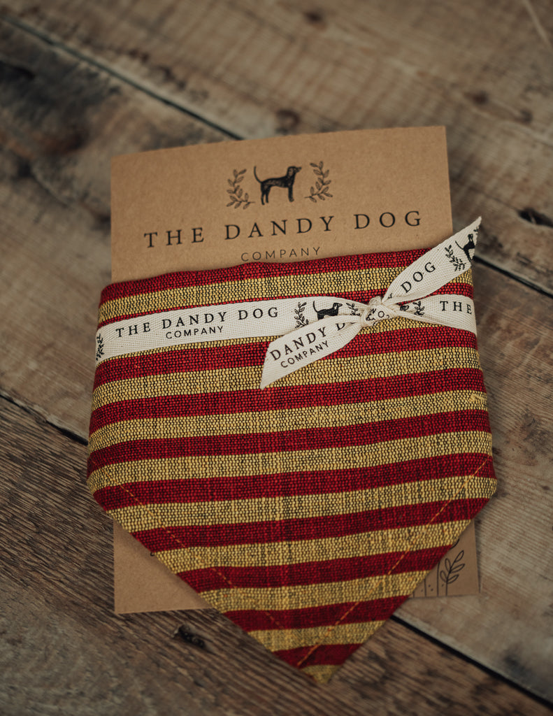 Red/Yellow Seaside Stripe Bandana – The Dandy Dog Company